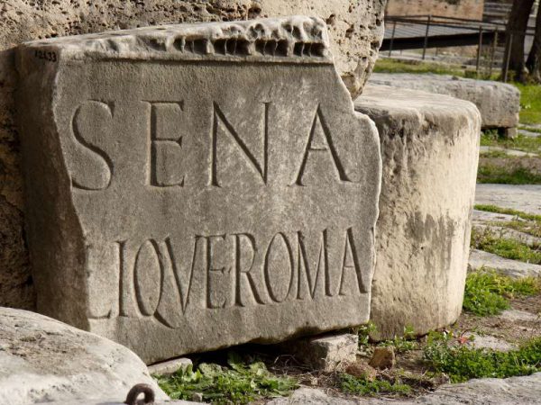 Pompeii inscriptions: graffiti and political propaganda advertising ...
