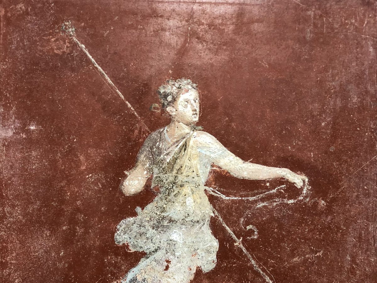 Stabiae Villa di Arianna and Quisisana museum guided tour 2.5 hours ...